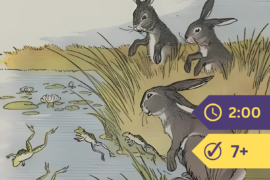 Frogs | Stories, Books & Poems