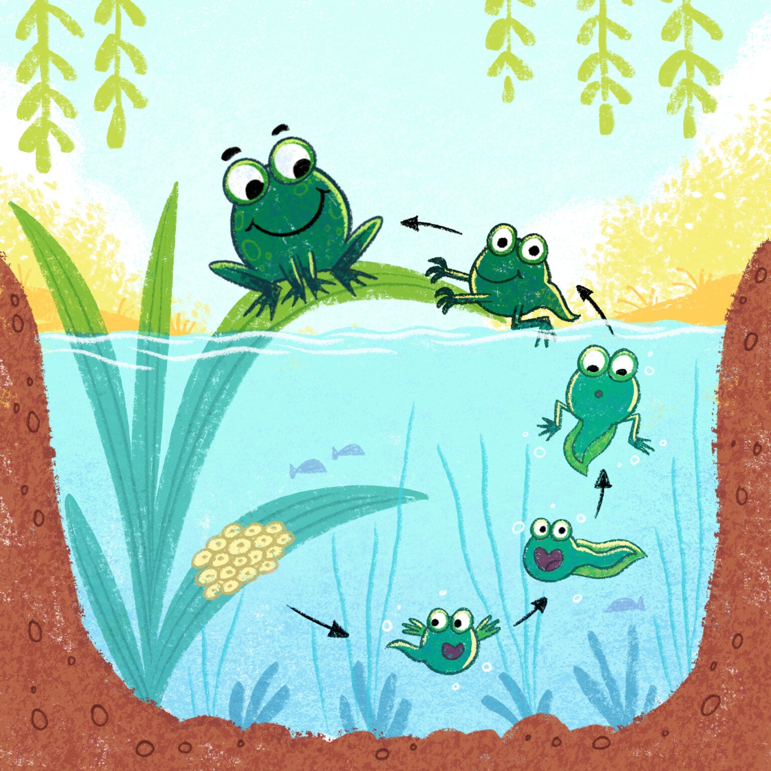 The Little Tadpole by Katharine Pyle – Read Free Online