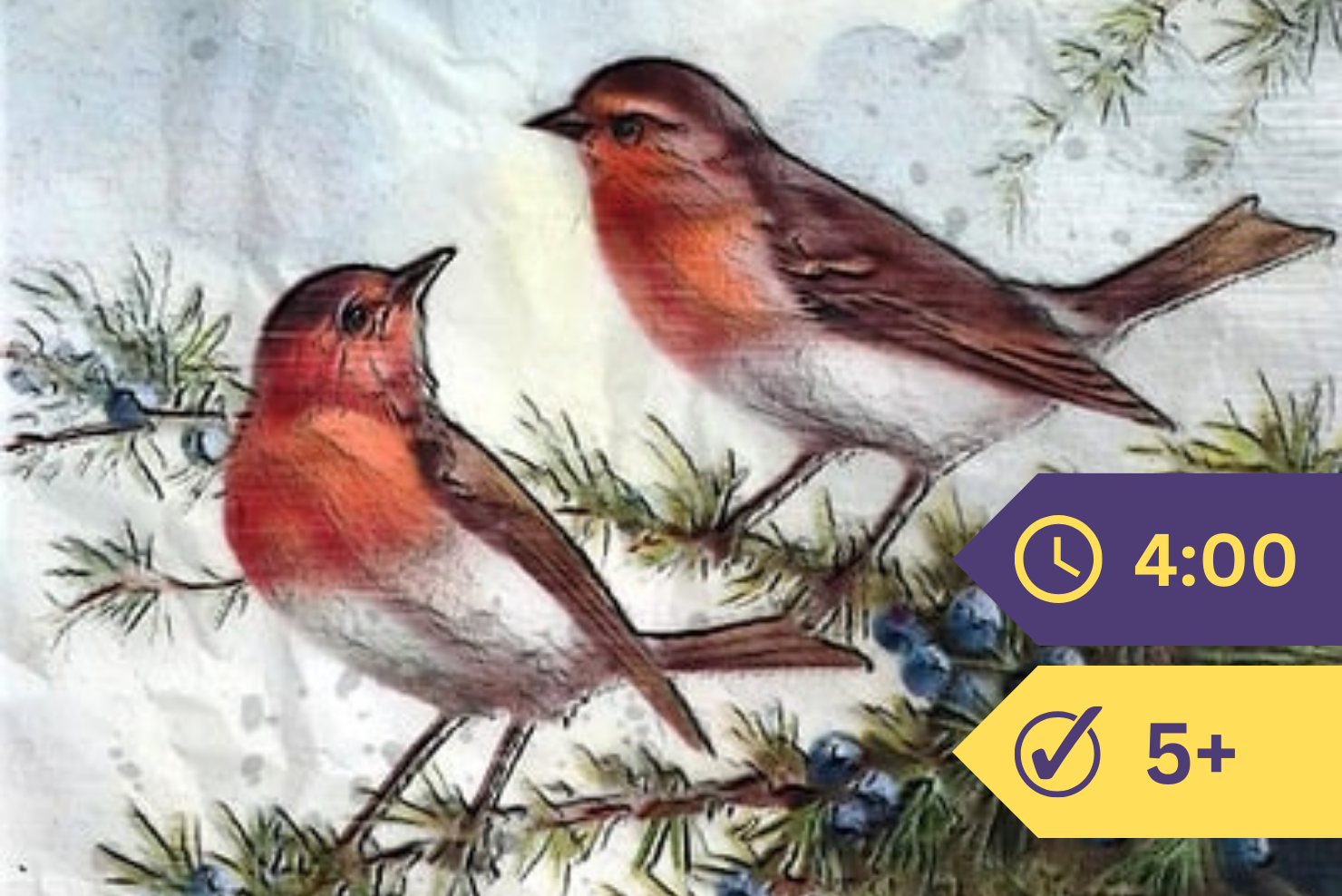 The Robin by Ellen Robena Field – Read Free Online