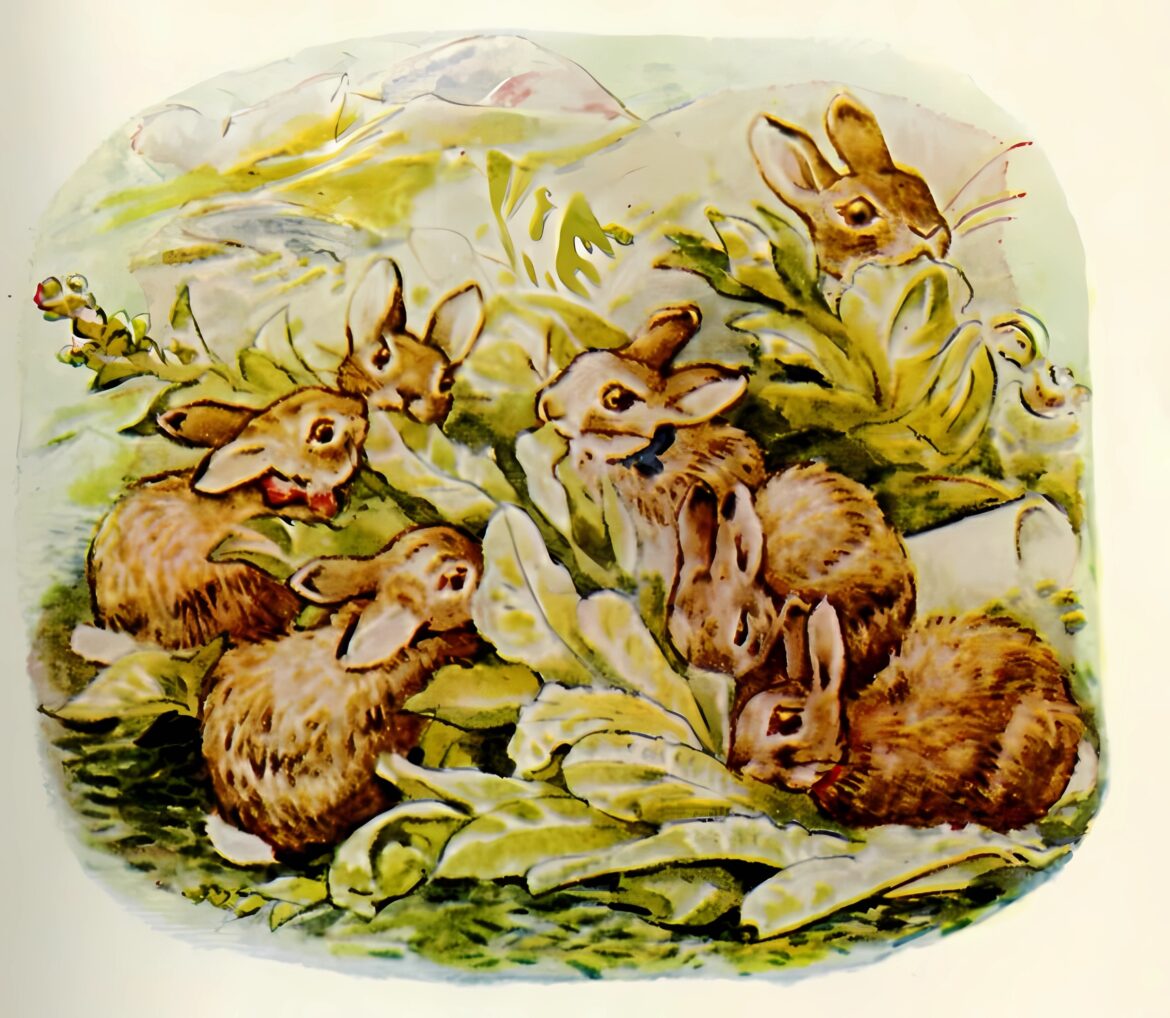 The Tale of the Flopsy Bunnies | Read Free Online